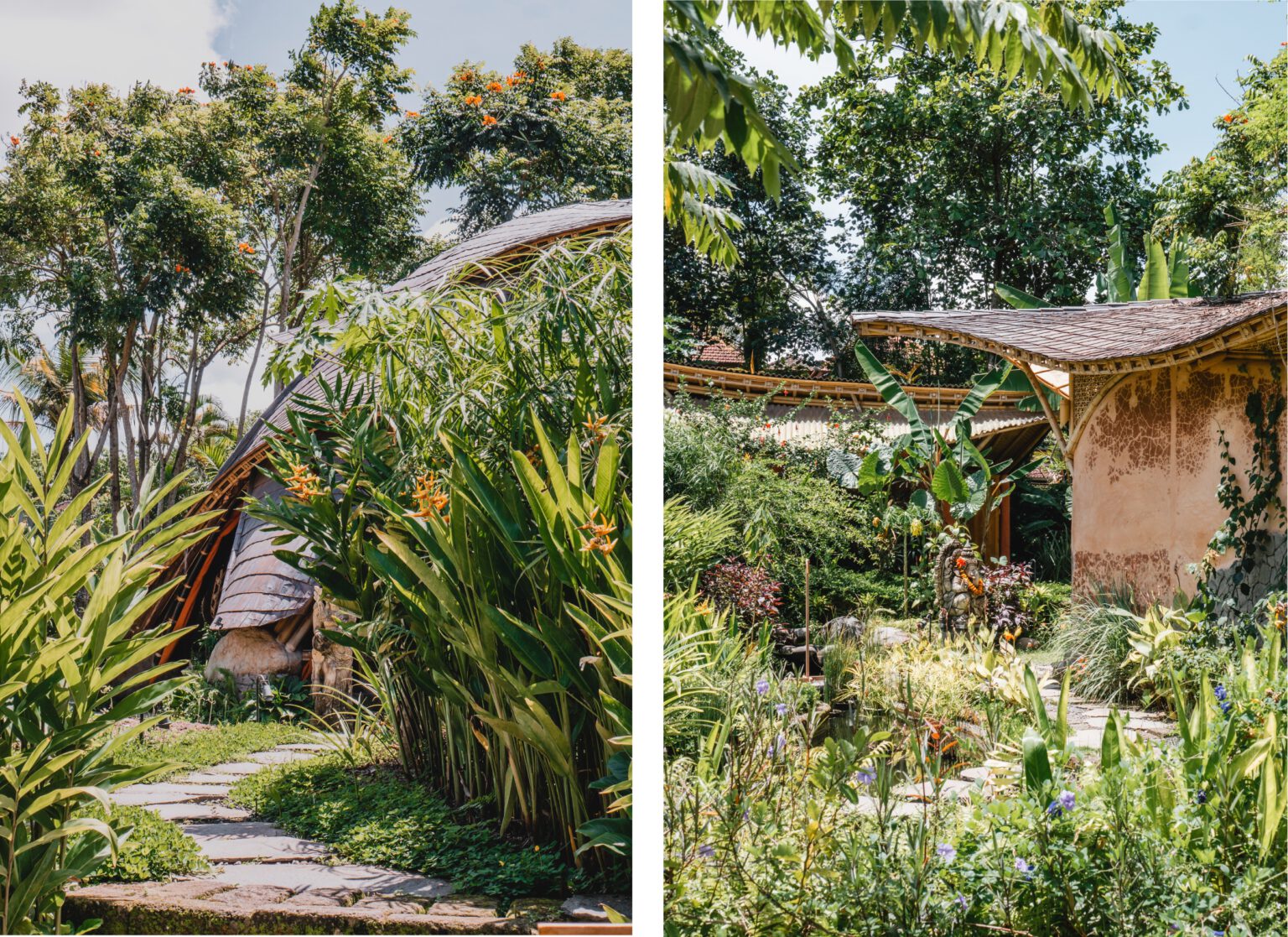 Heal your soul at Alchemy Yoga & Meditation Center